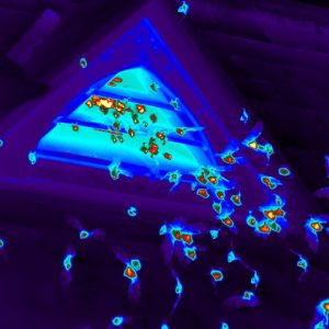 Thermal Vision Research Ltd | Thermal Imaging Solutions UK